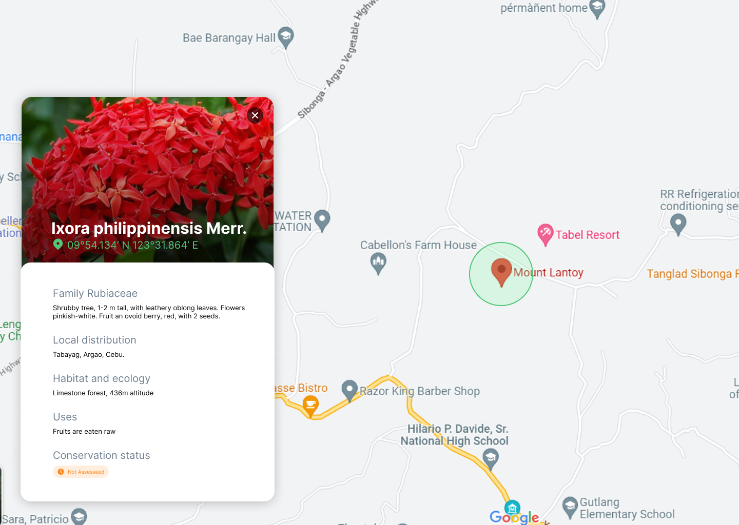 Rian • Full-Stack & Mobile Developer (React Native, TypeScript, Bun)